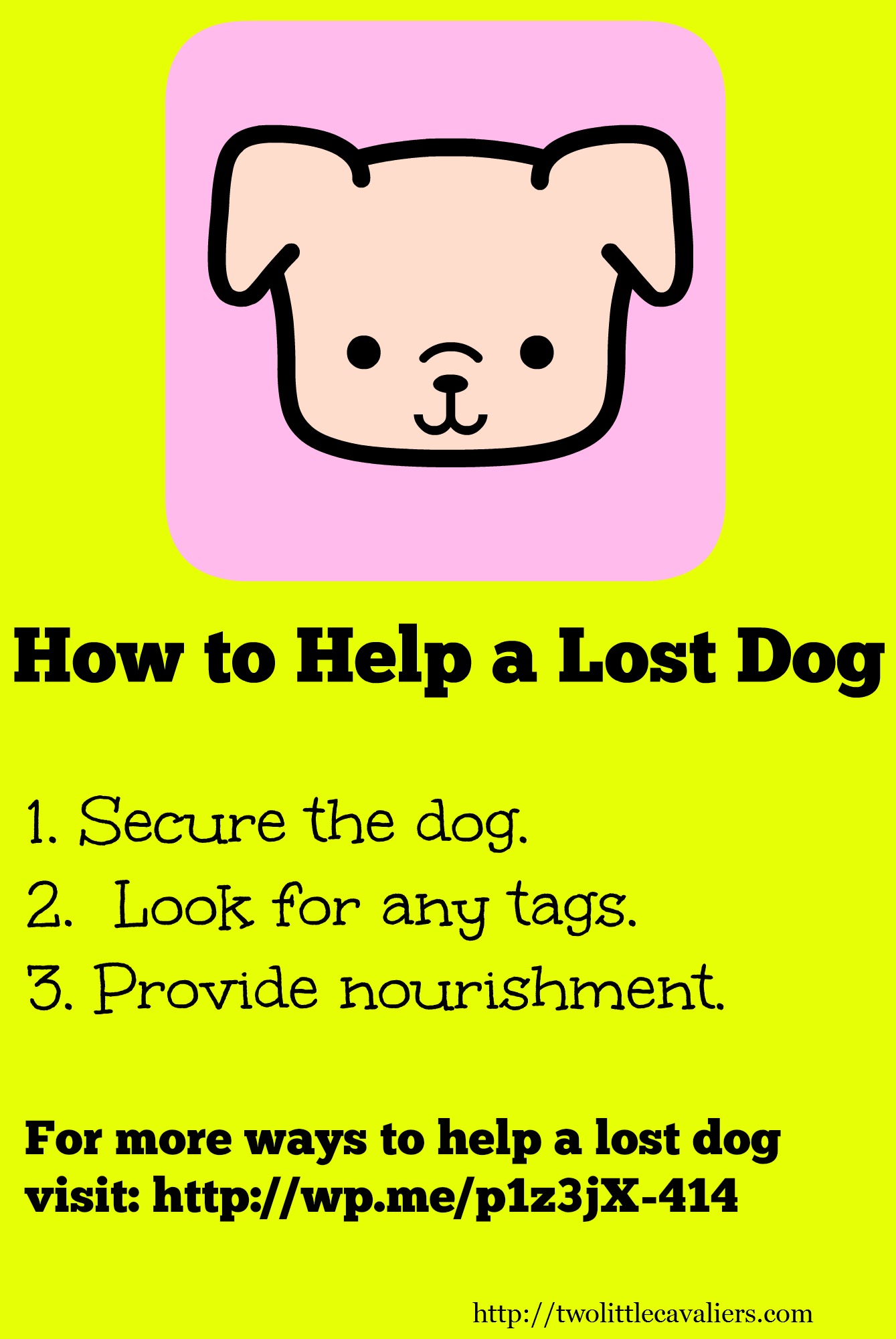 How to Help a Lost Dog - Two Little Cavaliers